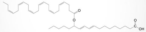 Omega-3 and Omega-6 Fatty Acid Synthesis, Metabolism, Functions - The ...