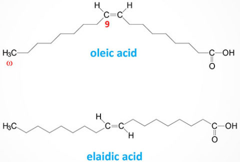 Biochemical Properties of Lipids - The Medical Biochemistry Page
