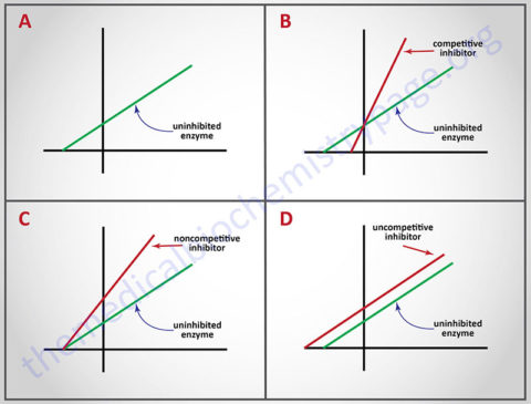 Enzyme Kinetics and Diagnostic Uses of Enzymes - The Medical ...