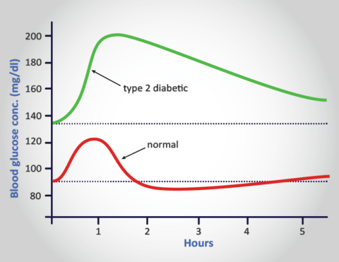 Diabetes Type 1 Type 2: A Comprehensive Guide - The Medical ...