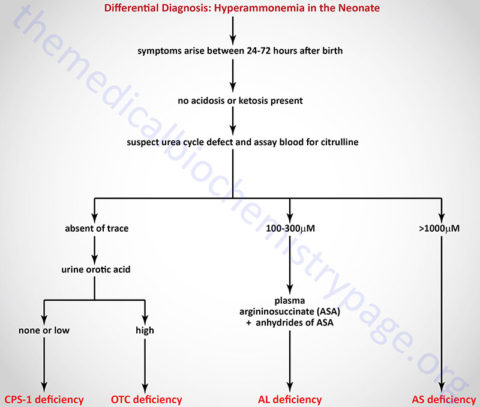 Urea Cycle Disorders: Overview - The Medical Biochemistry Page