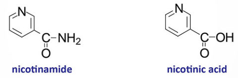 Vitamins: Water and Fat Soluble - The Medical Biochemistry Page