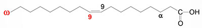 Biochemical Properties of Lipids - The Medical Biochemistry Page
