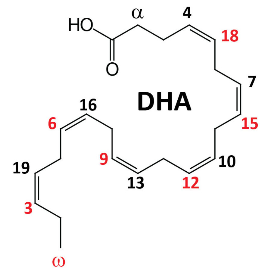 Omega 3 Fatty Acid Structure