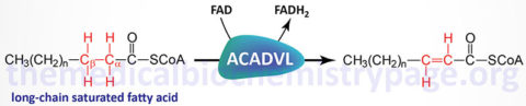 Very Long Chain Acyl-CoA Dehydrogenase (VLCAD) Deficiency - The Medical ...